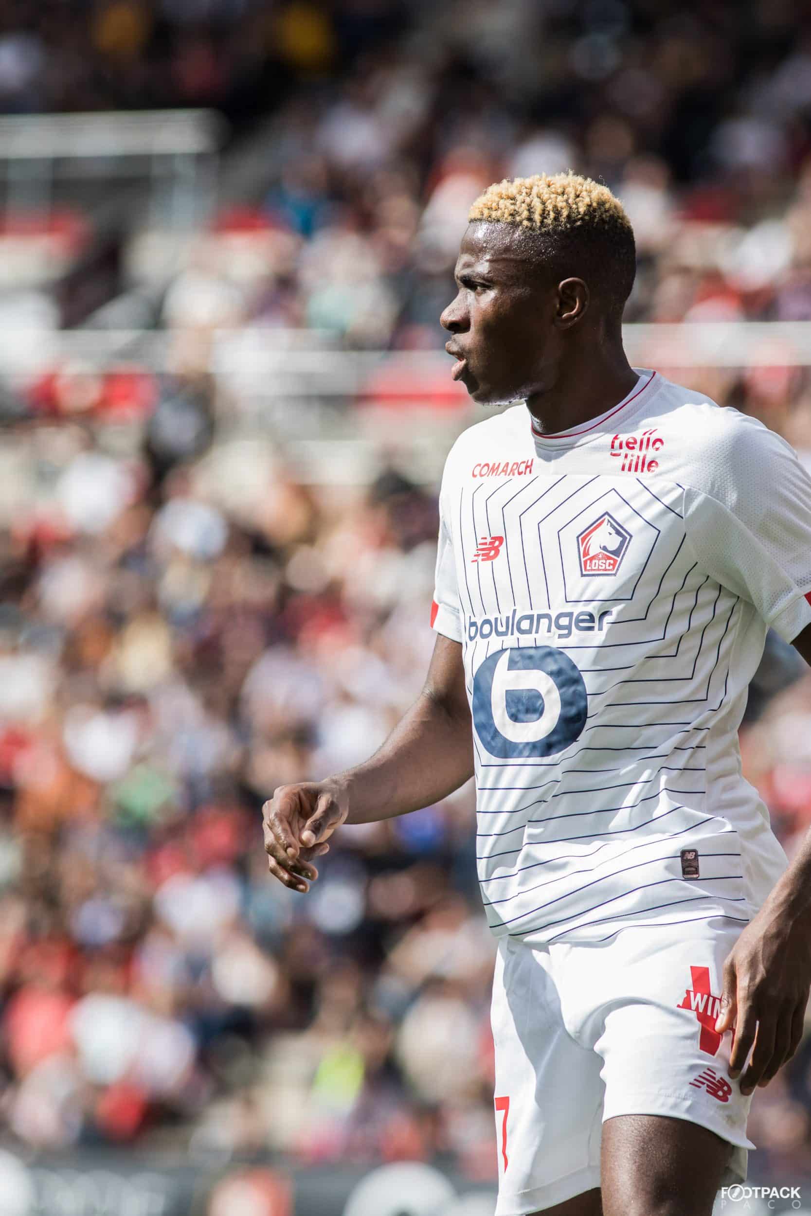 Pourquoi il y a t'il un dogue sur le logo du LOSC