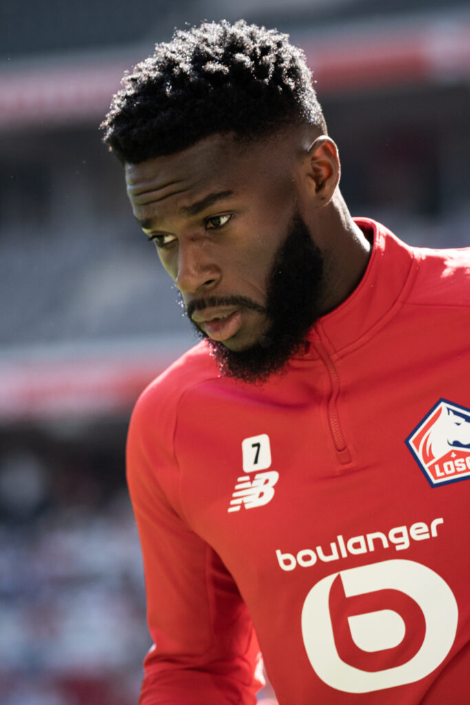 Pourquoi il y a t'il un dogue sur le logo du LOSC