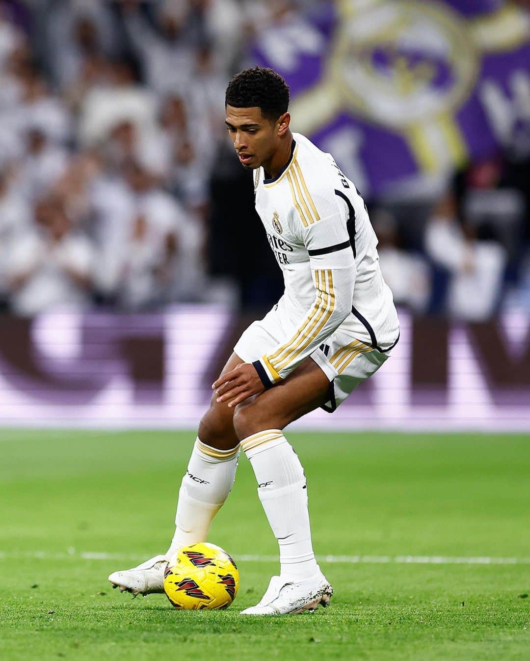 Bellingham : encore une Predator totalement inédite à ses pieds