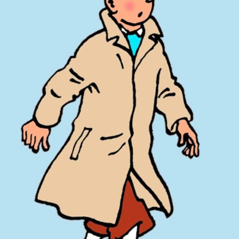 Maillot Belgique : Tintin inspire adidas pour un survêtement