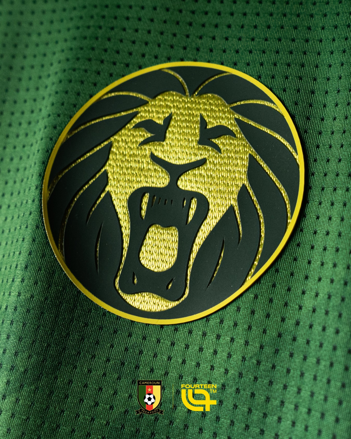 Le Cameroun sort son nouveau maillot pour 2025